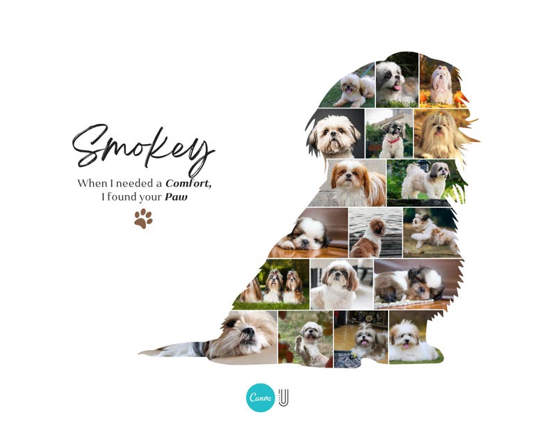 Shih Tzu Photo Collage | Custom Pet Portrait (digital File) - Etsy Canada