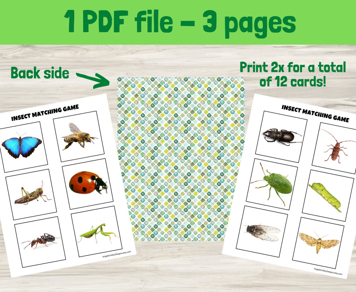 Insects Memory Game Printable, Real Life Nature Photo Matching Puzzle ...