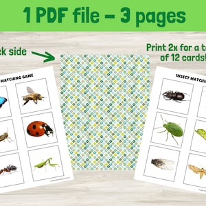 Insects Memory Game Printable, Real Life Nature Photo Matching Puzzle ...