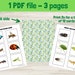 Insects Memory Game Printable, Real Life Nature Photo Matching Puzzle ...