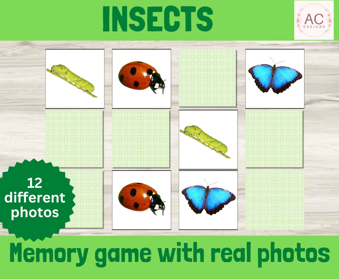 Insects Memory Game Printable, Real Life Nature Photo Matching Puzzle ...