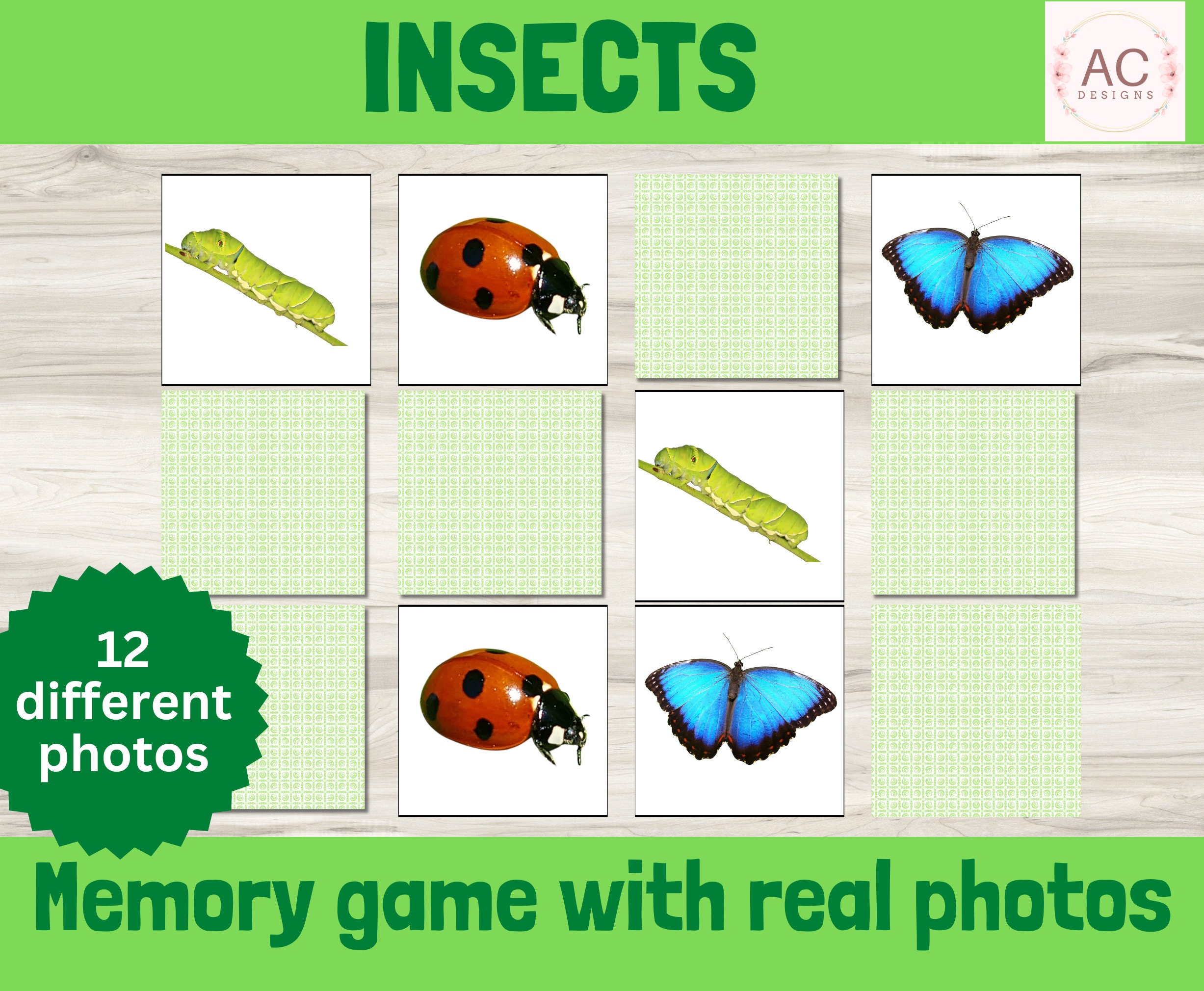Insects Memory Game Printable, Real Life Nature Photo Matching Puzzle ...