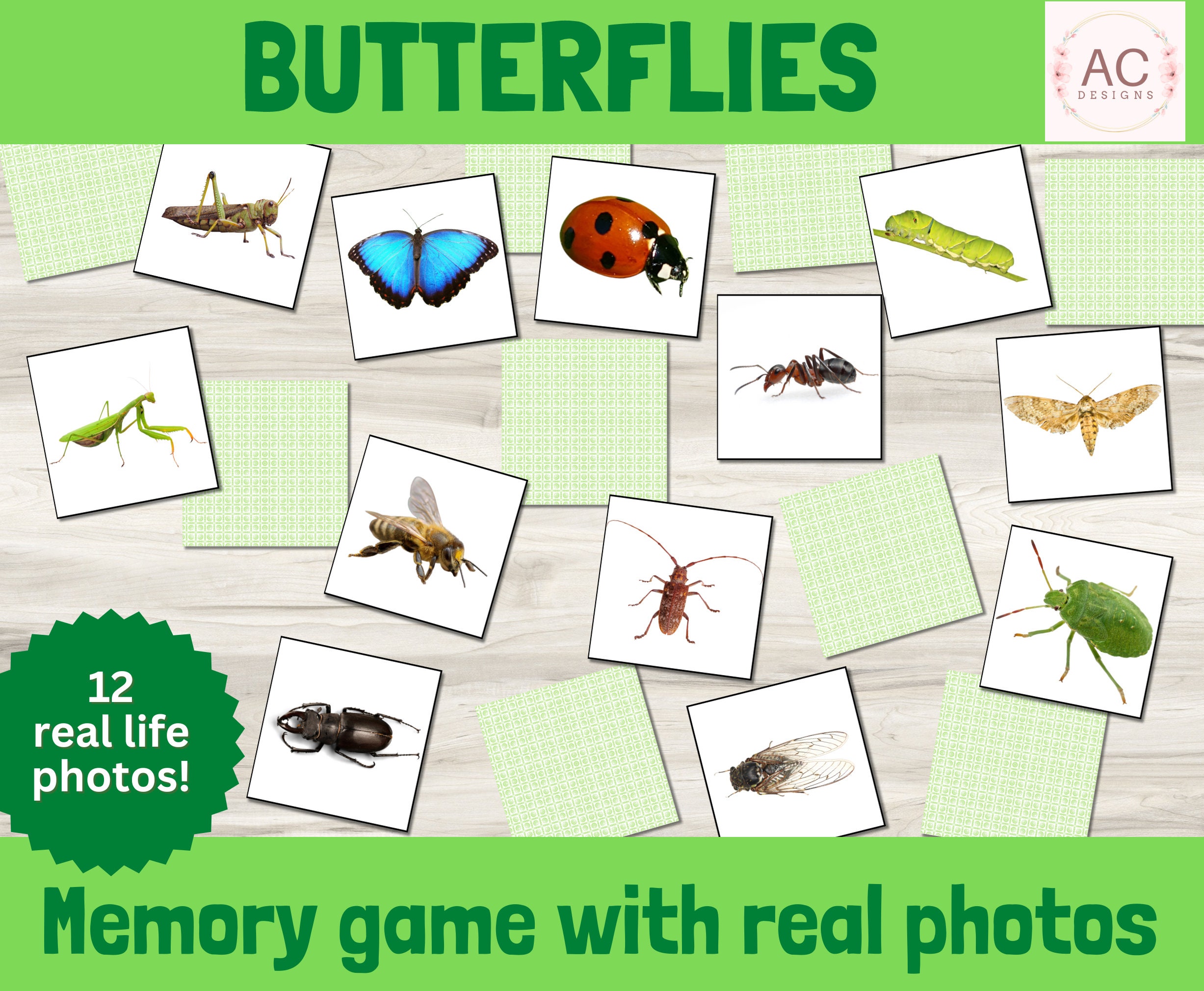 Butterfly Memory Game Printable, Real Life Nature Photo Matching Puzzle ...