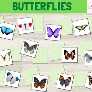 Butterfly Memory Game Printable, Real Life Nature Photo Matching Puzzle ...
