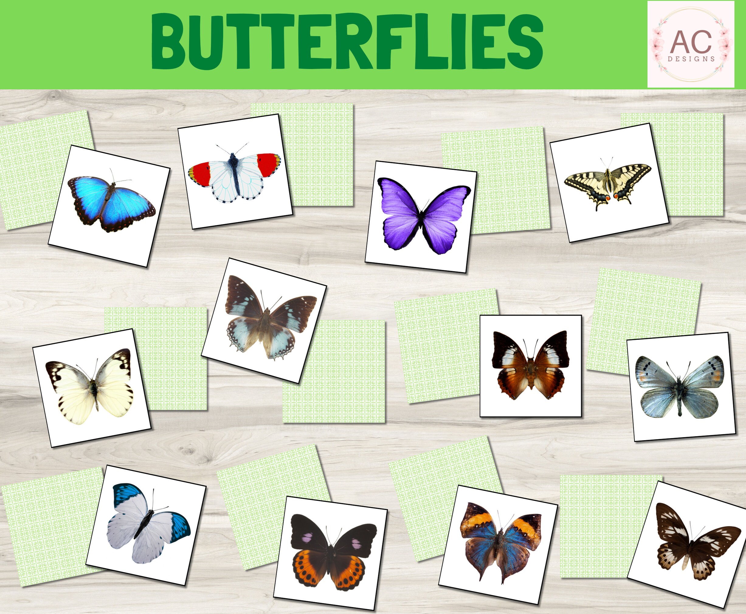 Butterfly Memory Game Printable, Real Life Nature Photo Matching Puzzle ...