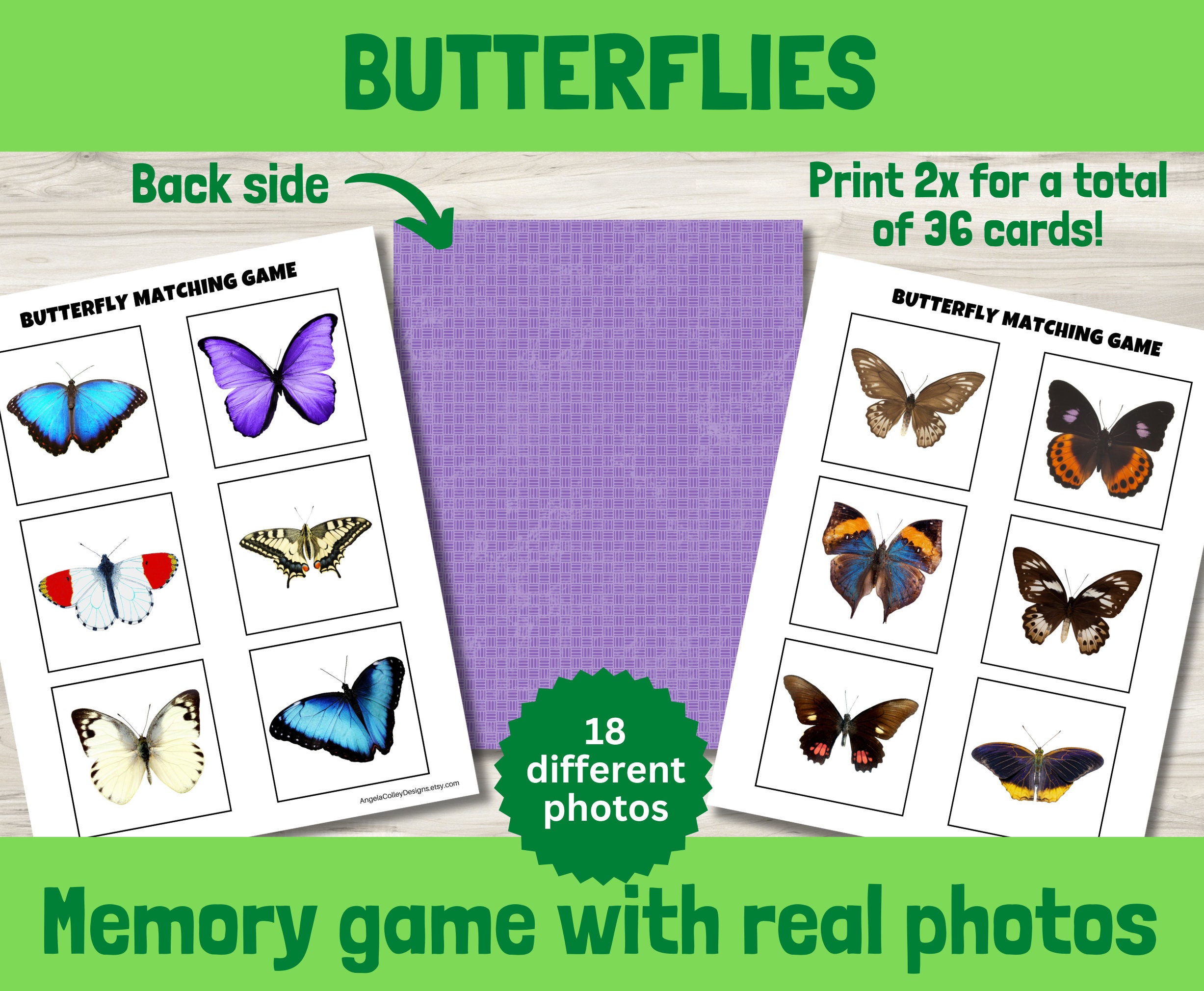 Butterfly Memory Game Printable, Real Life Nature Photo Matching Puzzle ...