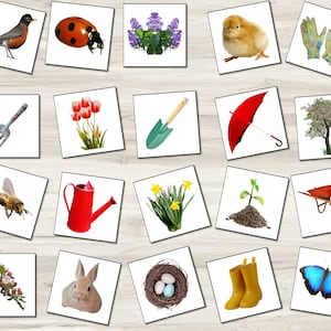 Spring Memory Game Printable, Real Life Nature Photo Matching Puzzle ...