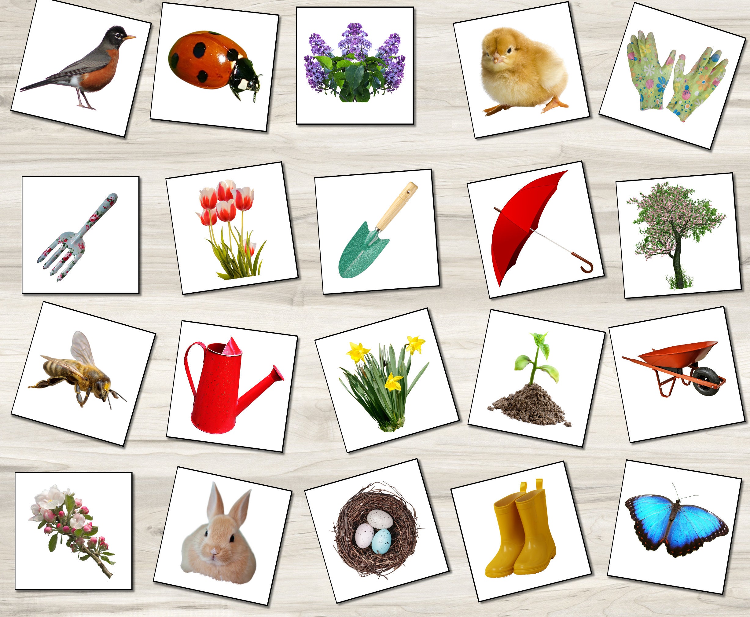 Spring Memory Game Printable, Real Life Nature Photo Matching Puzzle ...