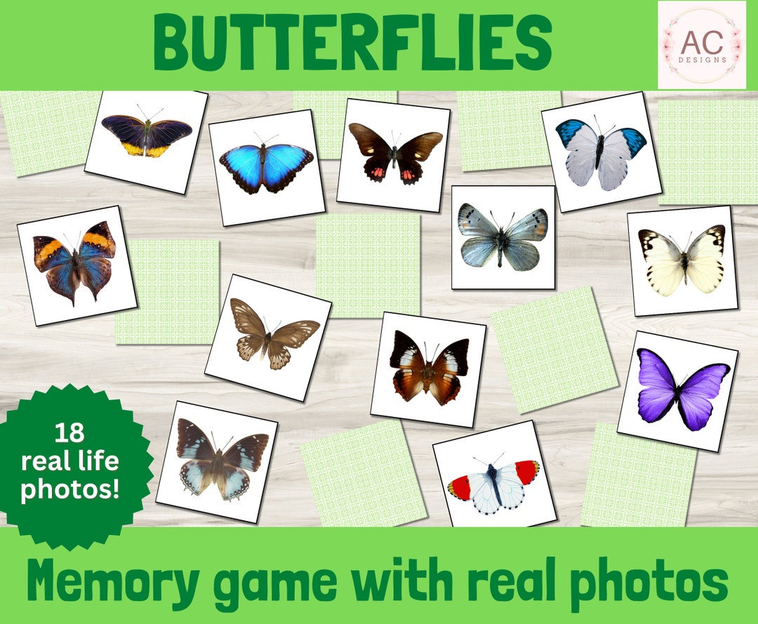 Butterfly Memory Game Printable, Real Life Nature Photo Matching Puzzle ...