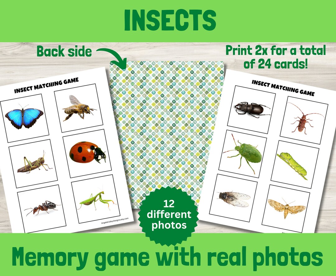 Insects Memory Game Printable, Real Life Nature Photo Matching Puzzle ...
