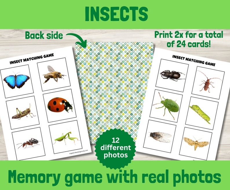 Insects Memory Game Printable, Real Life Nature Photo Matching Puzzle ...