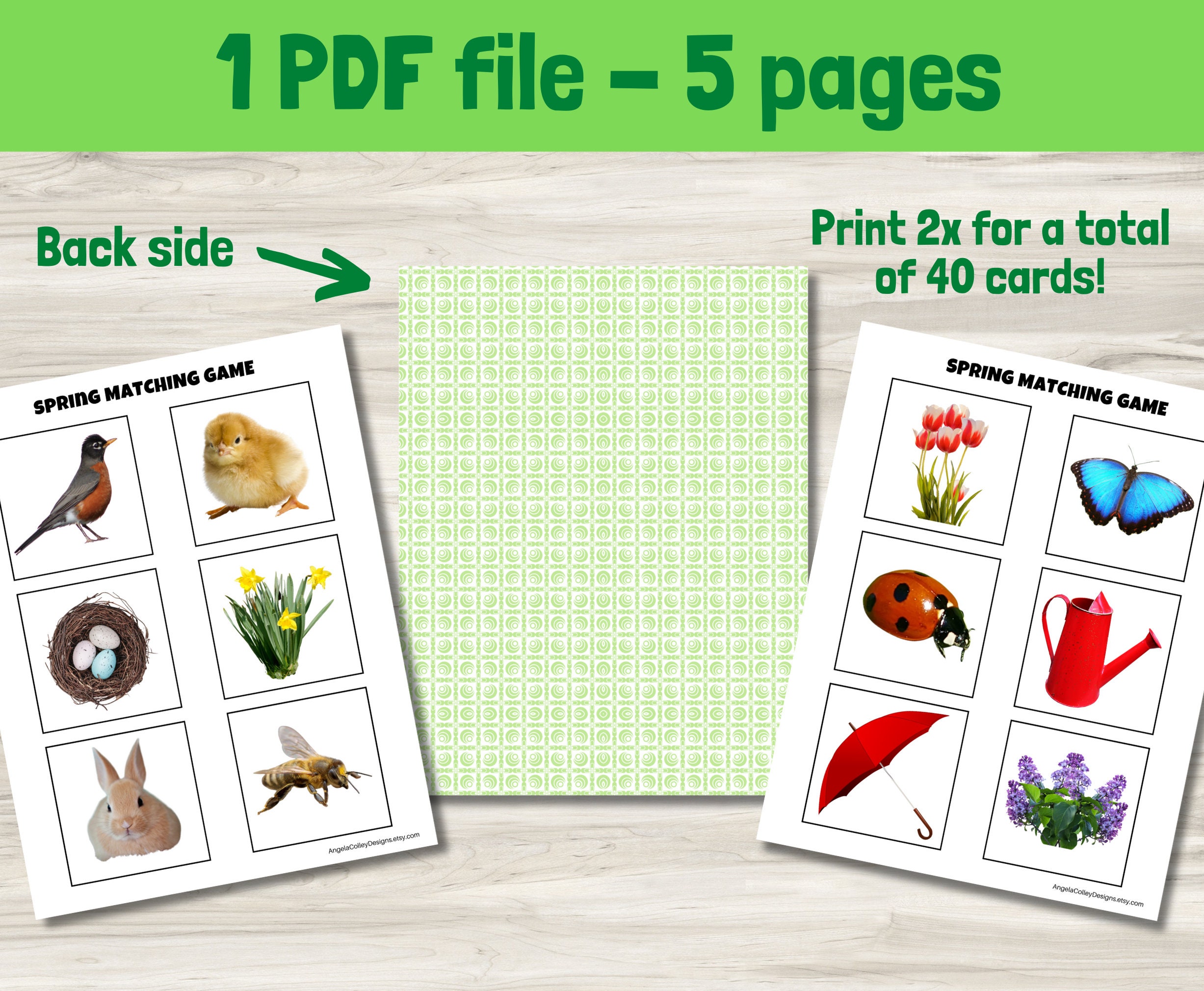 Spring Memory Game Printable, Real Life Nature Photo Matching Puzzle ...