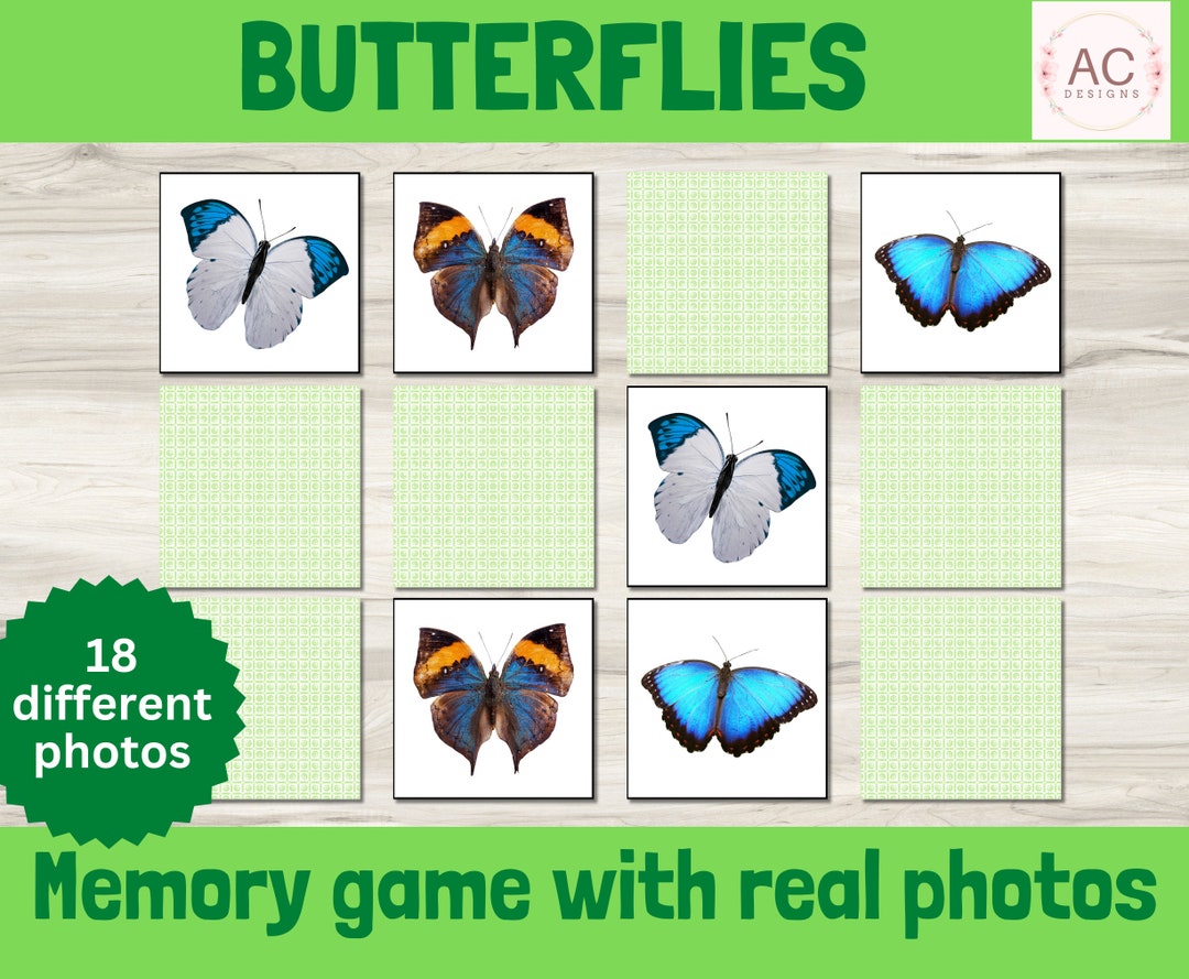 Butterfly Memory Game Printable, Real Life Nature Photo Matching Puzzle ...