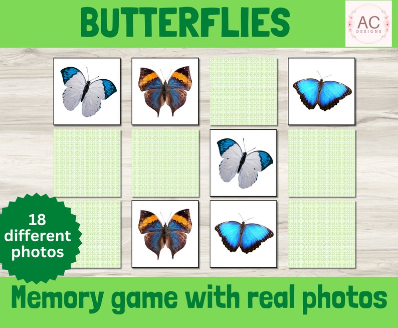 Butterfly Memory Game Printable, Real Life Nature Photo Matching Puzzle ...
