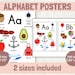 Printable Alphabet Posters, Beginning Sounds Flash Cards, Letter Size ...