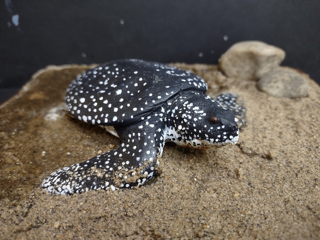 1/35 Protostega Sea Turtle - Etsy