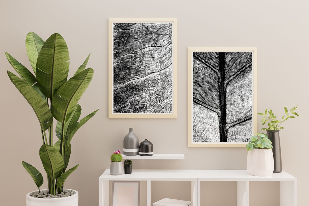 Black White Wall Art Set of 2 Printable Download Nature Wall Prints ...
