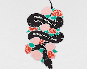 Hail Mary Full of Grace, Punch the Devil in the Face, MARY Vs. DEVIL ...
