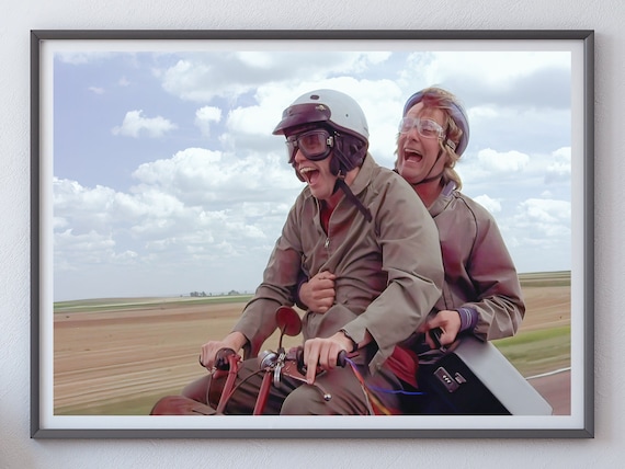 Dumb And Dumber Theatrical Poster