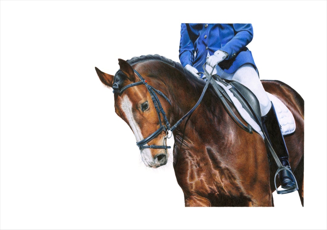 Horse Drawing, Equestrian Drawing, Realistic Horse Drawing, Fine Art ...