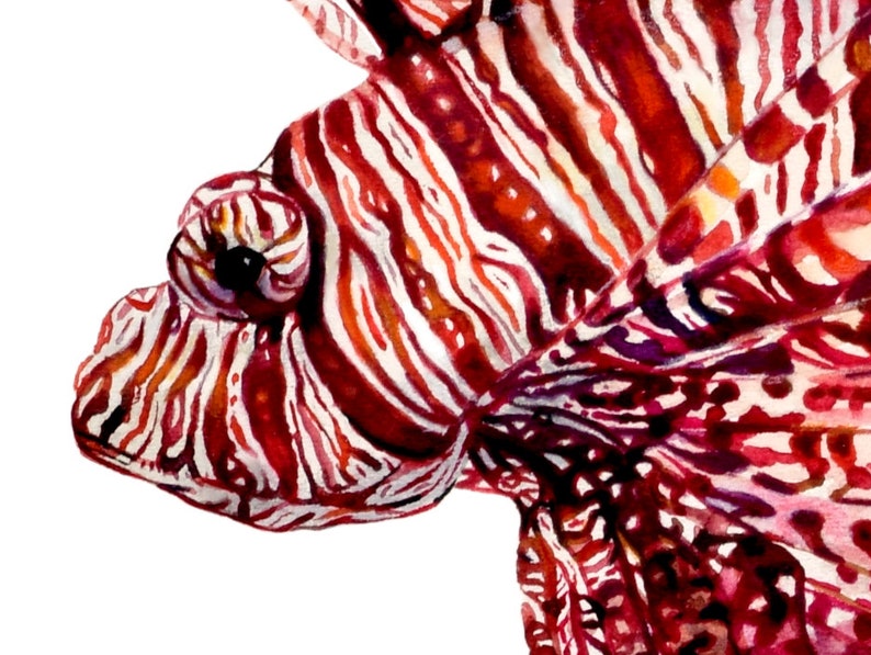 Lionfish Drawing, Lionfish Painting, Wildlife Art, Watercolor Painting ...