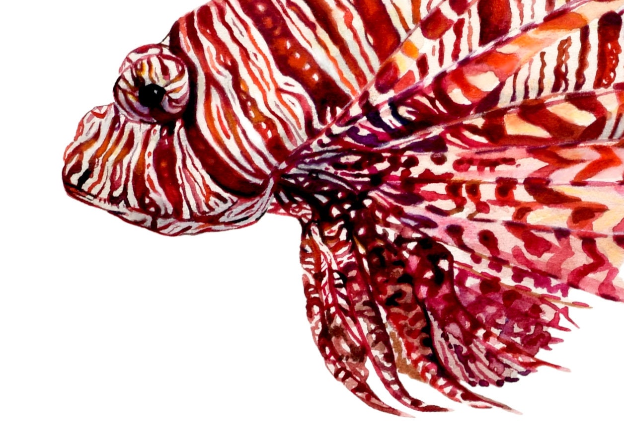 Lionfish Drawing, Lionfish Painting, Wildlife Art, Watercolor Painting ...
