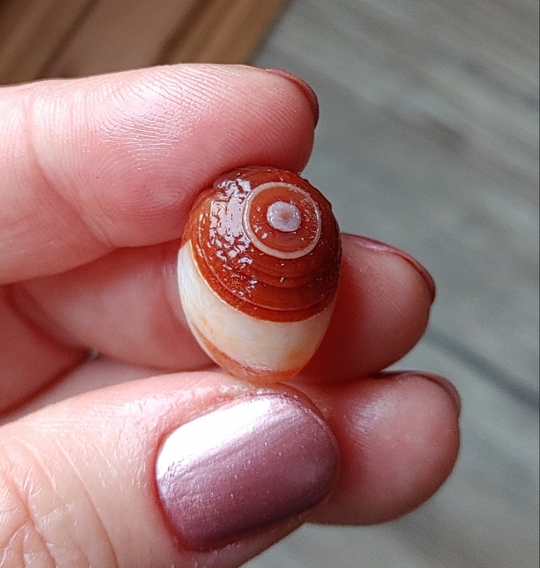 Rare DARK Orange Eye Agate. Shaman Stone. Evil Eye Protection. - Etsy
