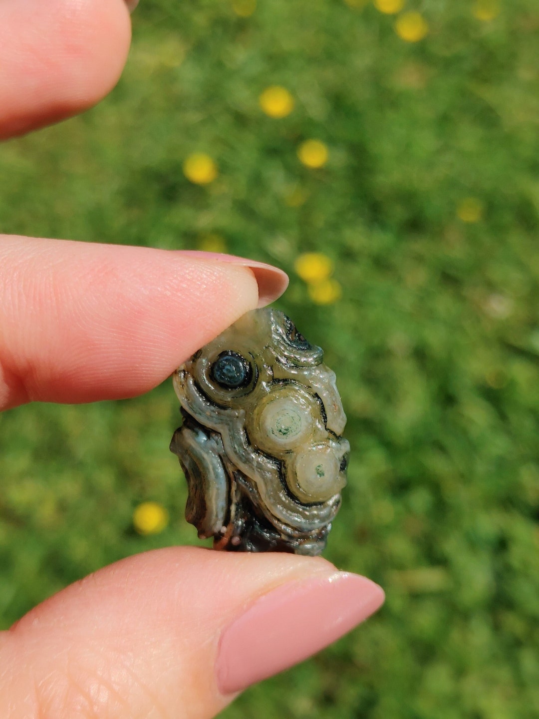 Incredibly Rare and Unique Mongolian Gobi Desert Alxa Agate Stones ...