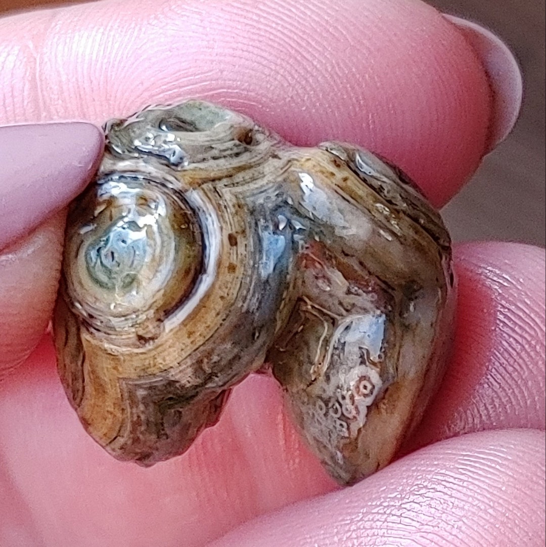 Incredibly Rare and Unique Mongolian Gobi Desert Alxa Agate Stones ...