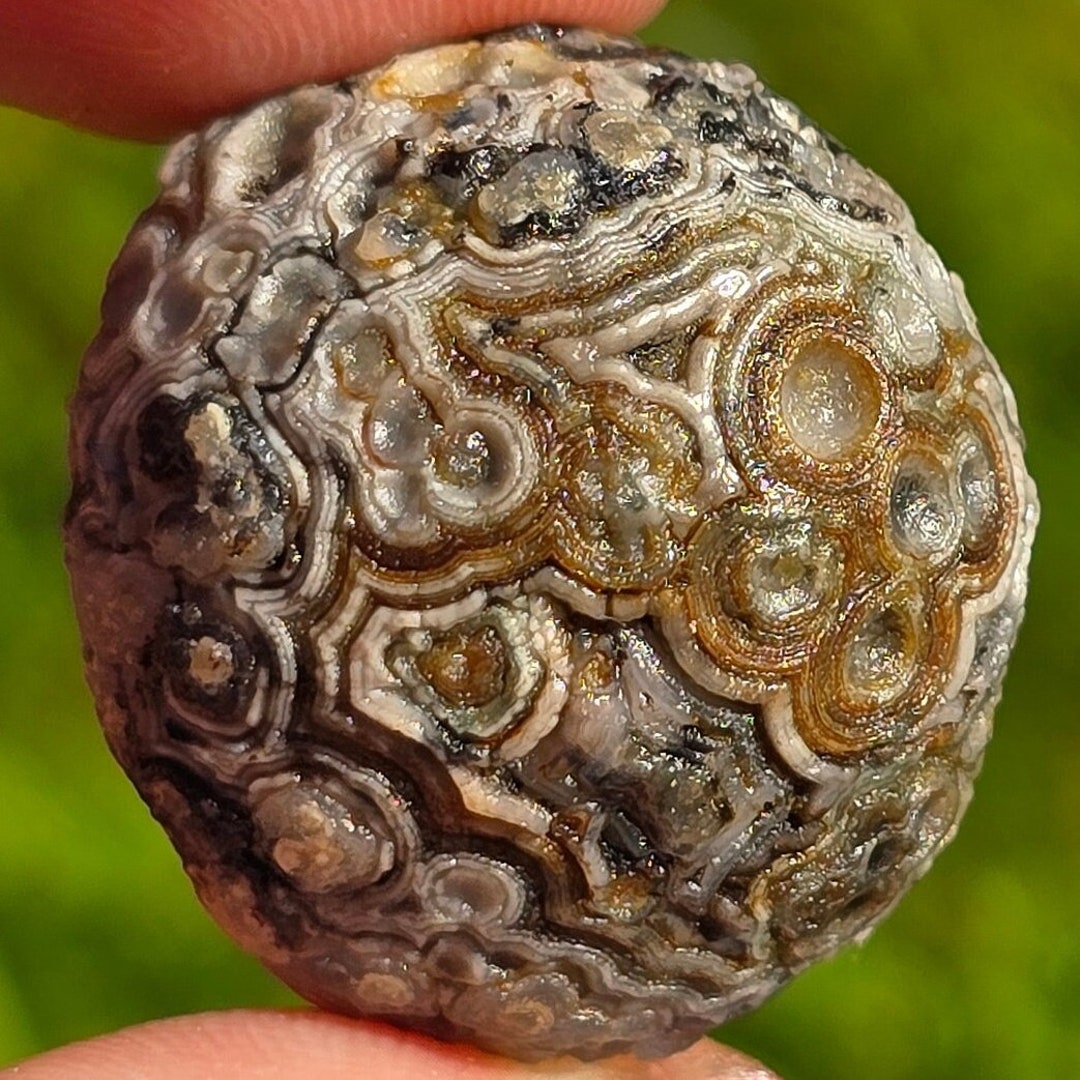 Incredibly Rare and Unique Mongolian Gobi Desert Alxa Agate Stones ...
