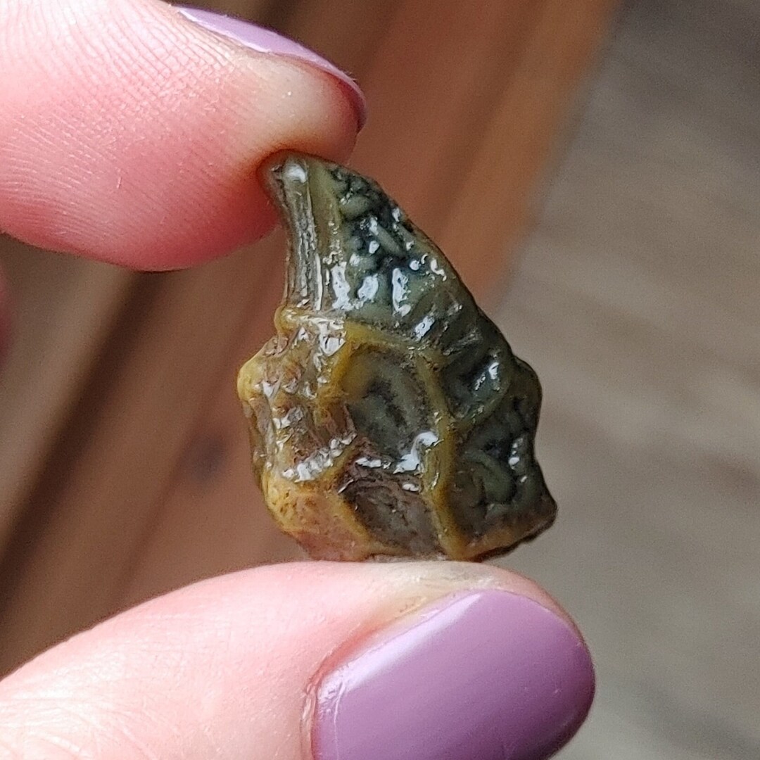 Incredibly Rare All Natural Stones of Glorious Gobi Desert. - Etsy