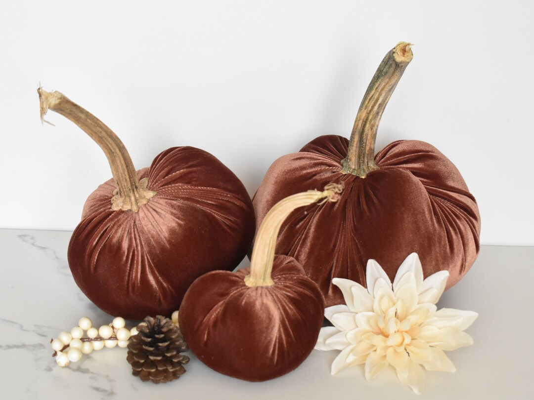 Copper Velvet Pumpkins With Real Stems, Pumpkin Table Decor, Fall ...