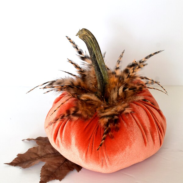 Real Pumpkin Stems - Etsy