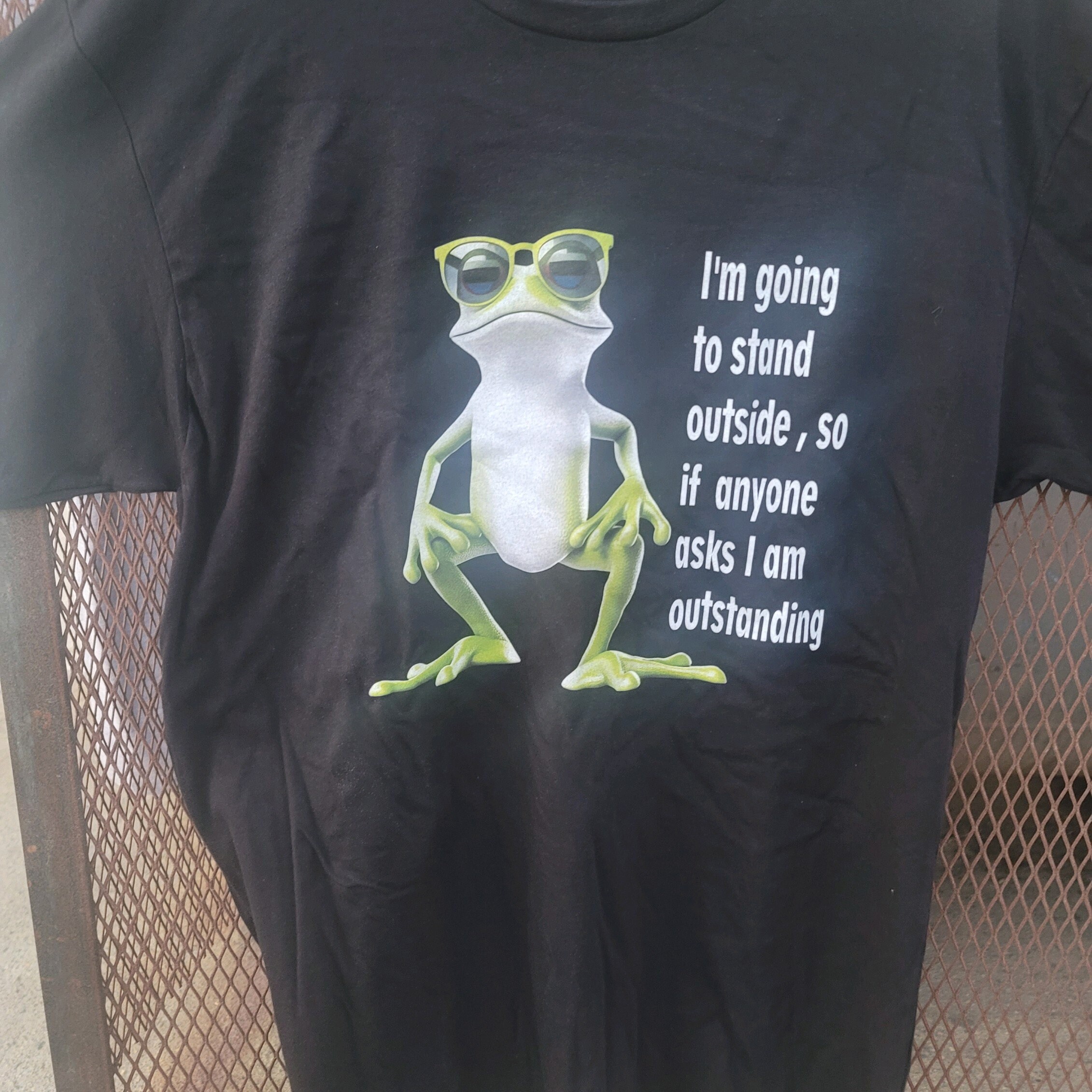 FROGGY MEME SHIRT - Etsy