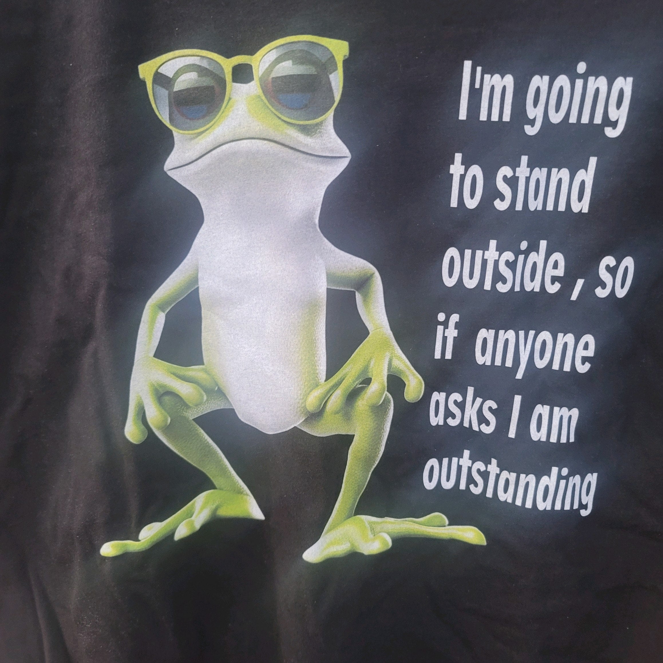 FROGGY MEME SHIRT - Etsy