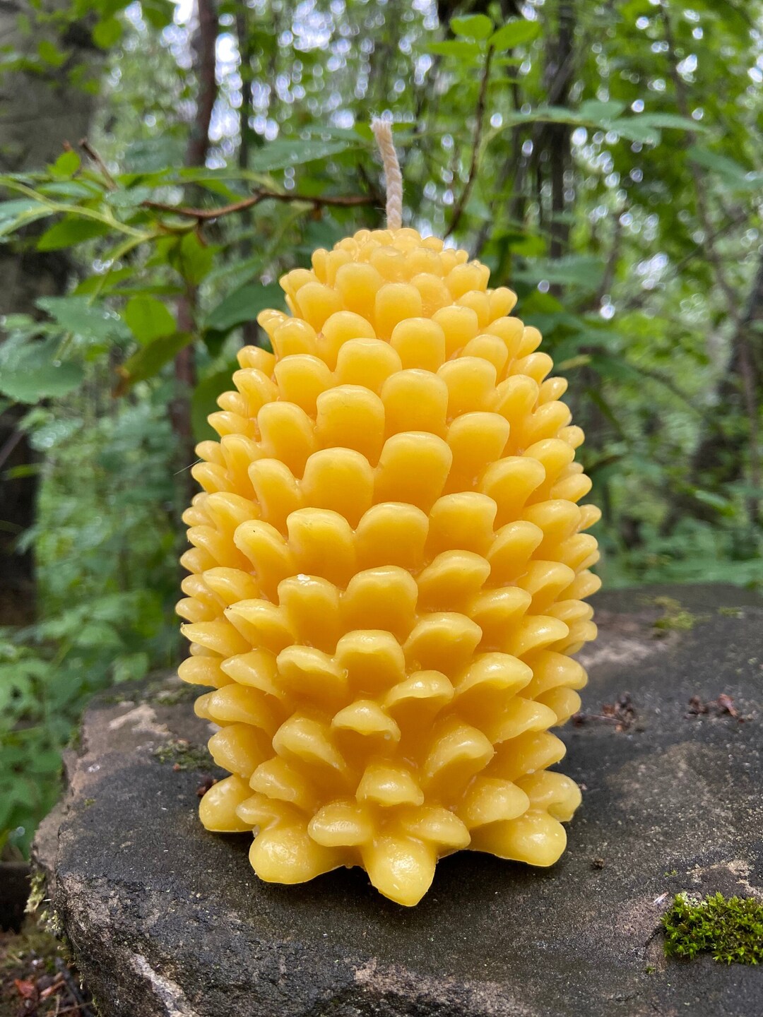 Beeswax Jumbo Pine Cone Candle - Etsy