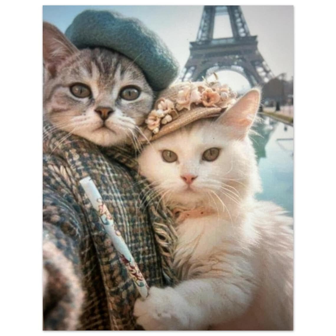 Cats in Paris Poster, France Poster - Etsy