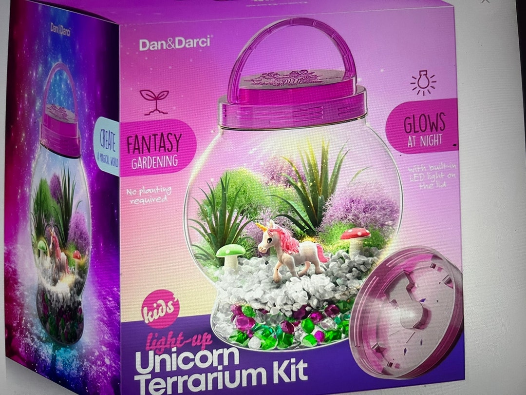 Light up Terrarium Kit for Kids - Etsy
