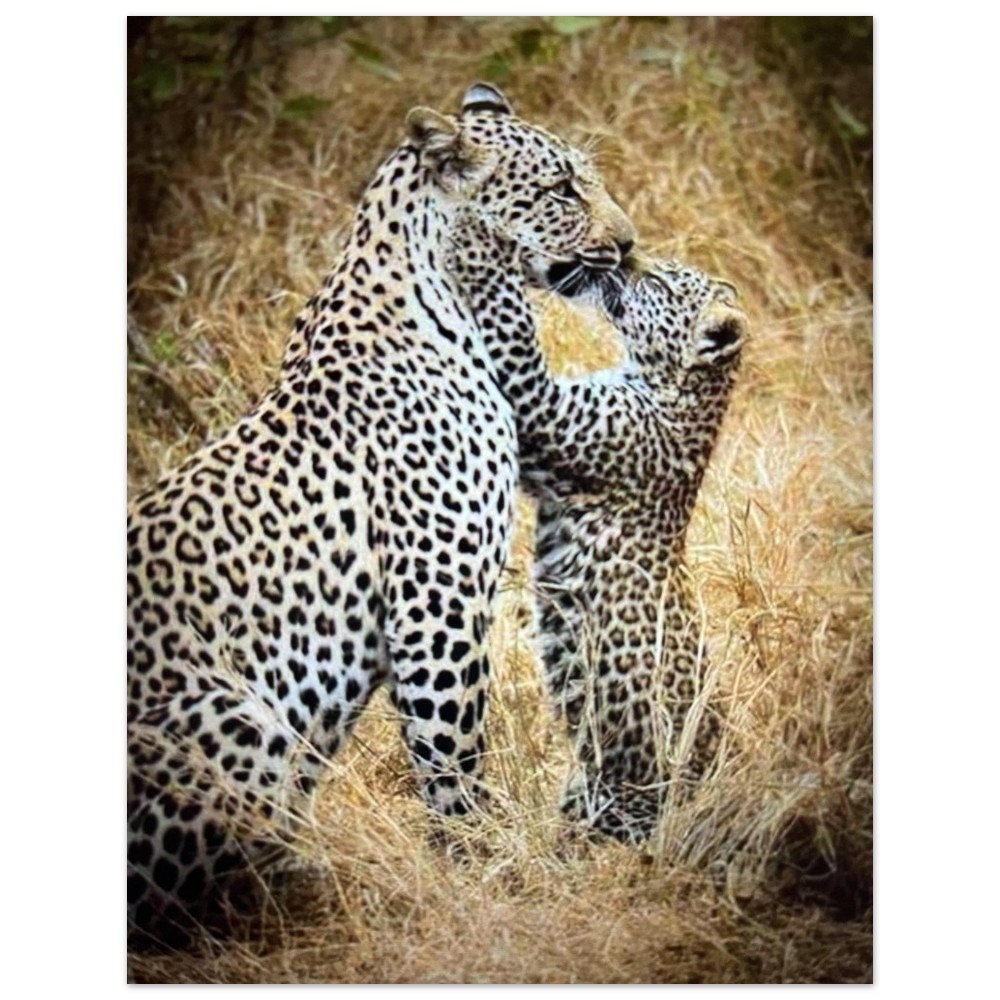 Leopard Mother With Leopard Cub Poster, Animal Poster, Wall Decor, Home ...