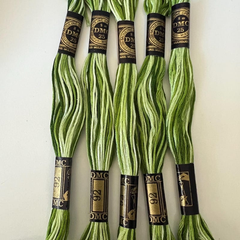 Dmc Variegated Floss - Etsy