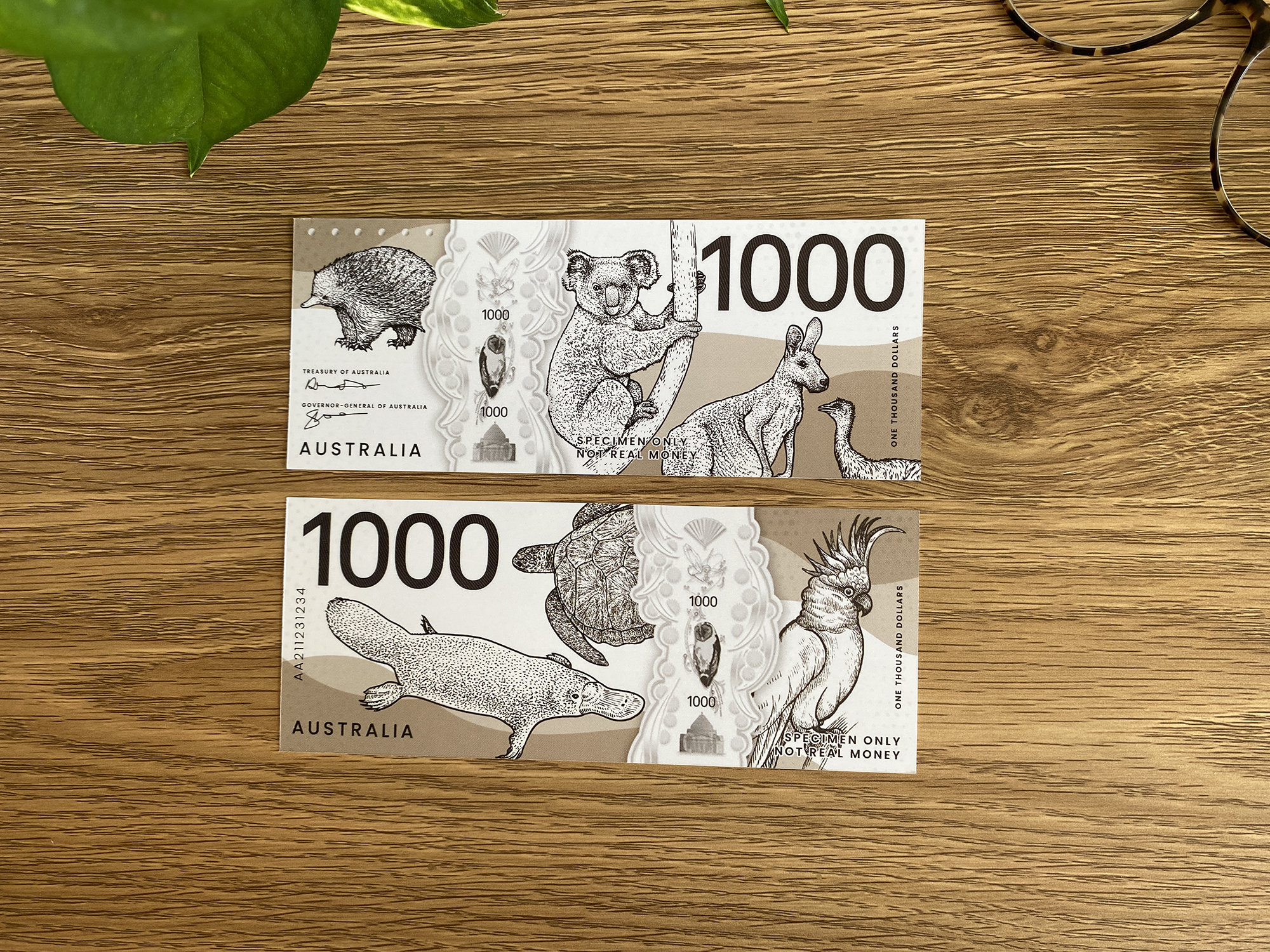 1K Australian Banknote Placeholders - 1000 Dollars Aussie Fake Money ...