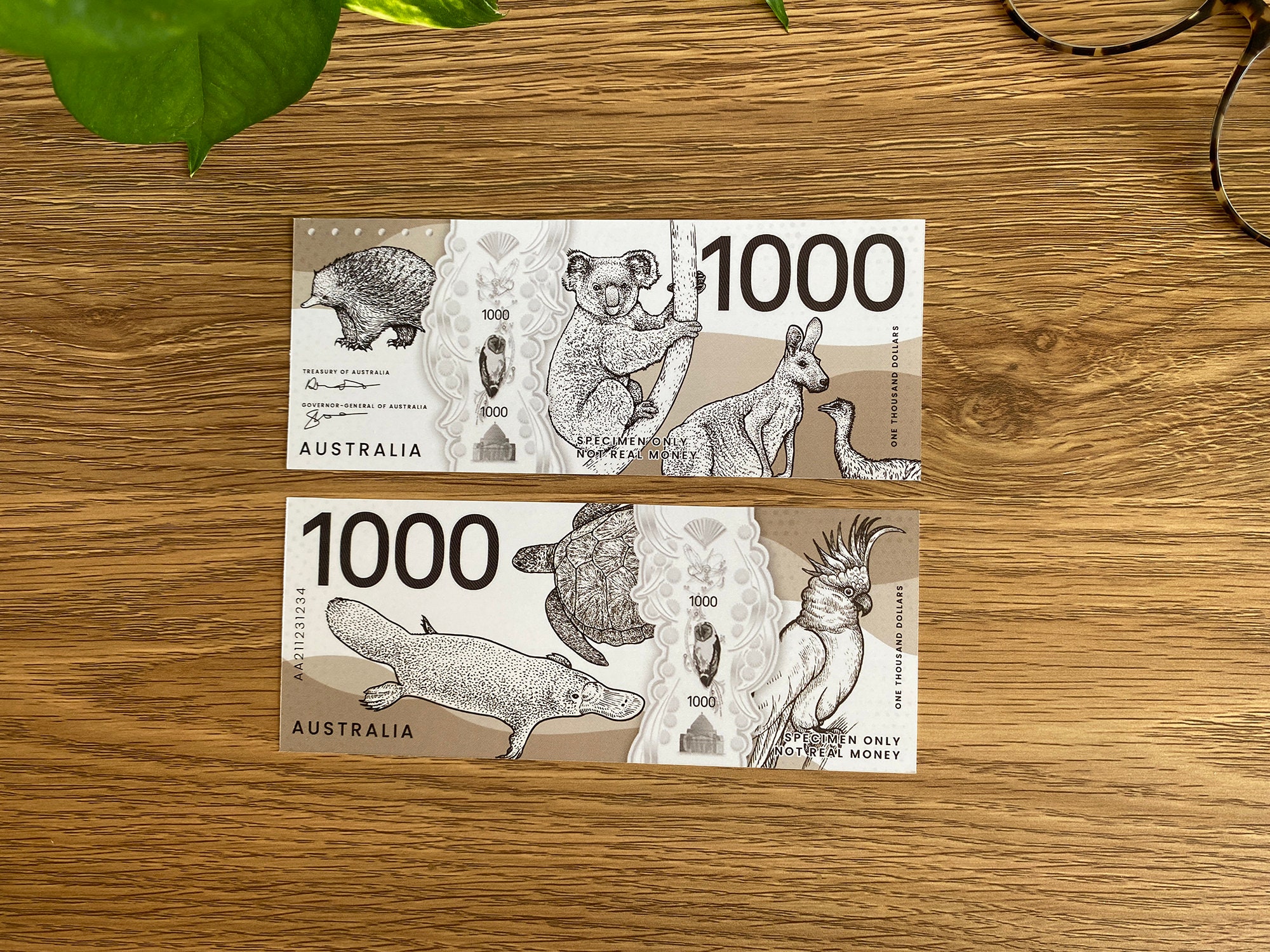 BUILD YOUR BUNDLE Banknotes Australian Bill Placeholders - Etsy