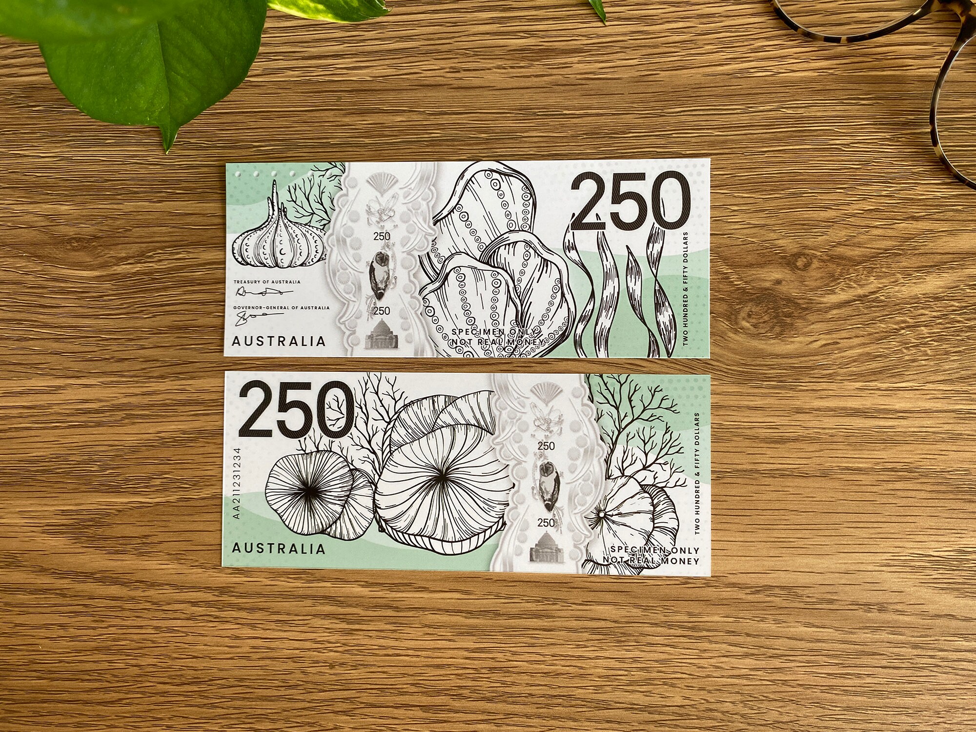 BUILD YOUR BUNDLE Banknotes Australian Bill Placeholders - Etsy