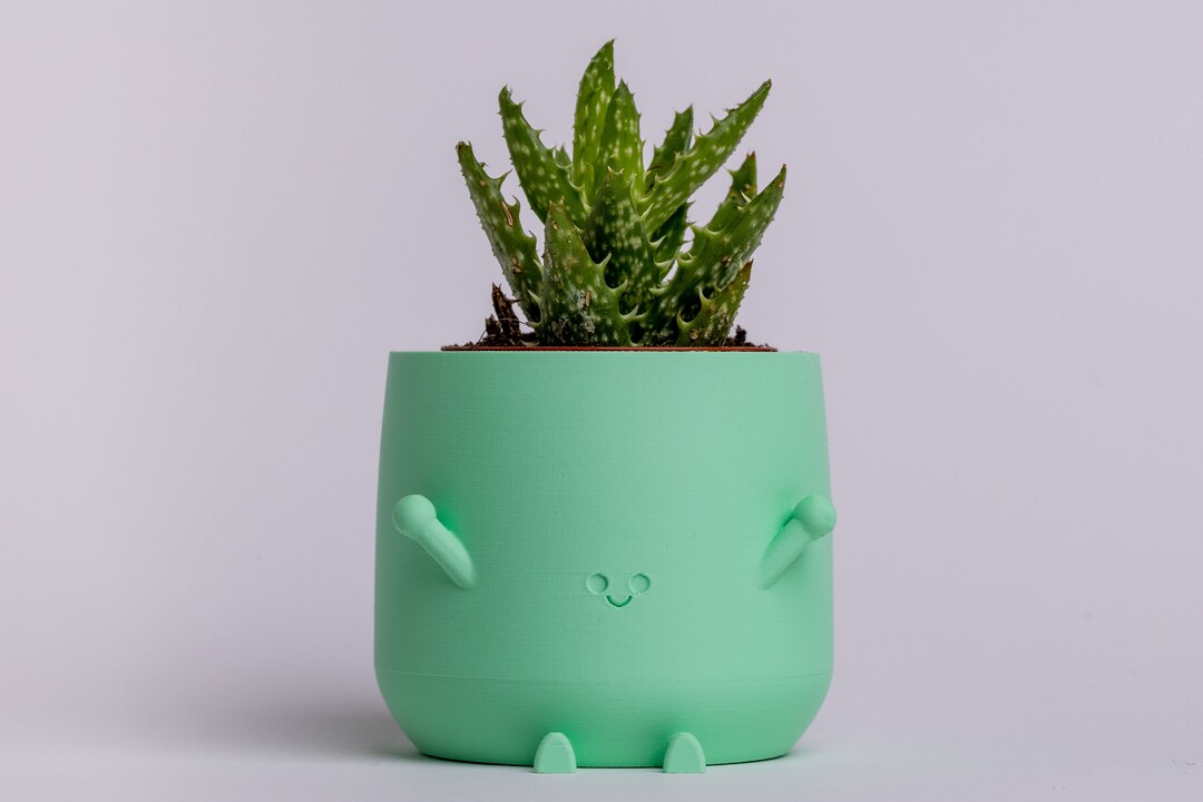 Happy Smiley 3D Printed Planter/plant Pot Smiley Face, Cute Gift Idea ...