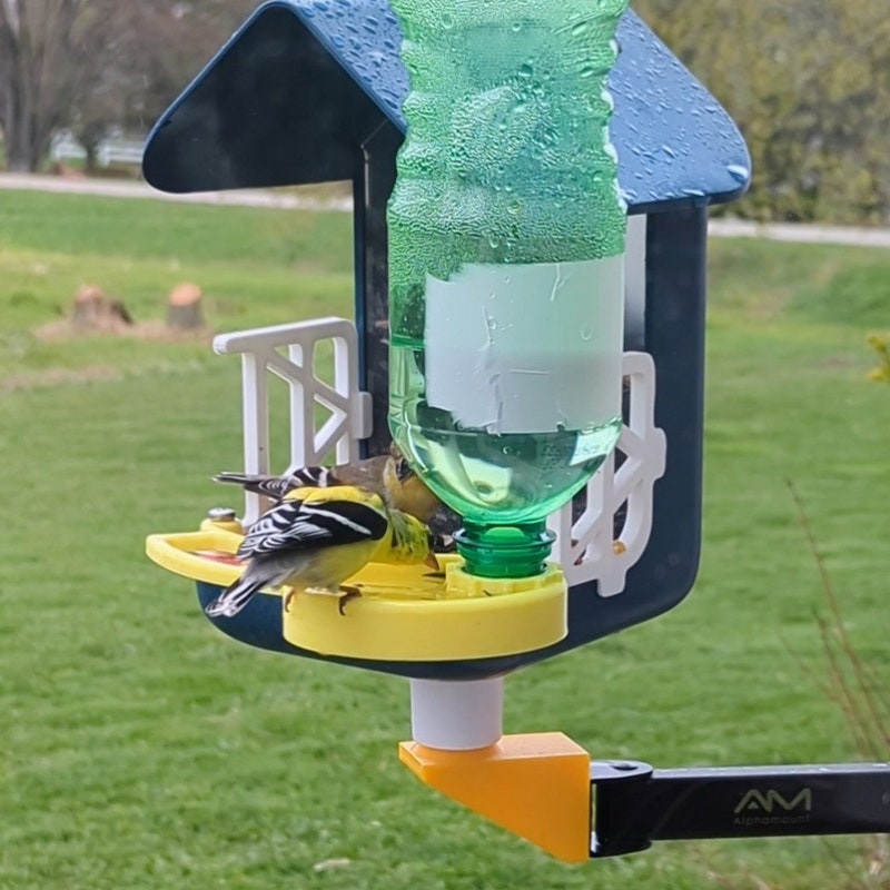 Birdbuddy Accessories - Etsy