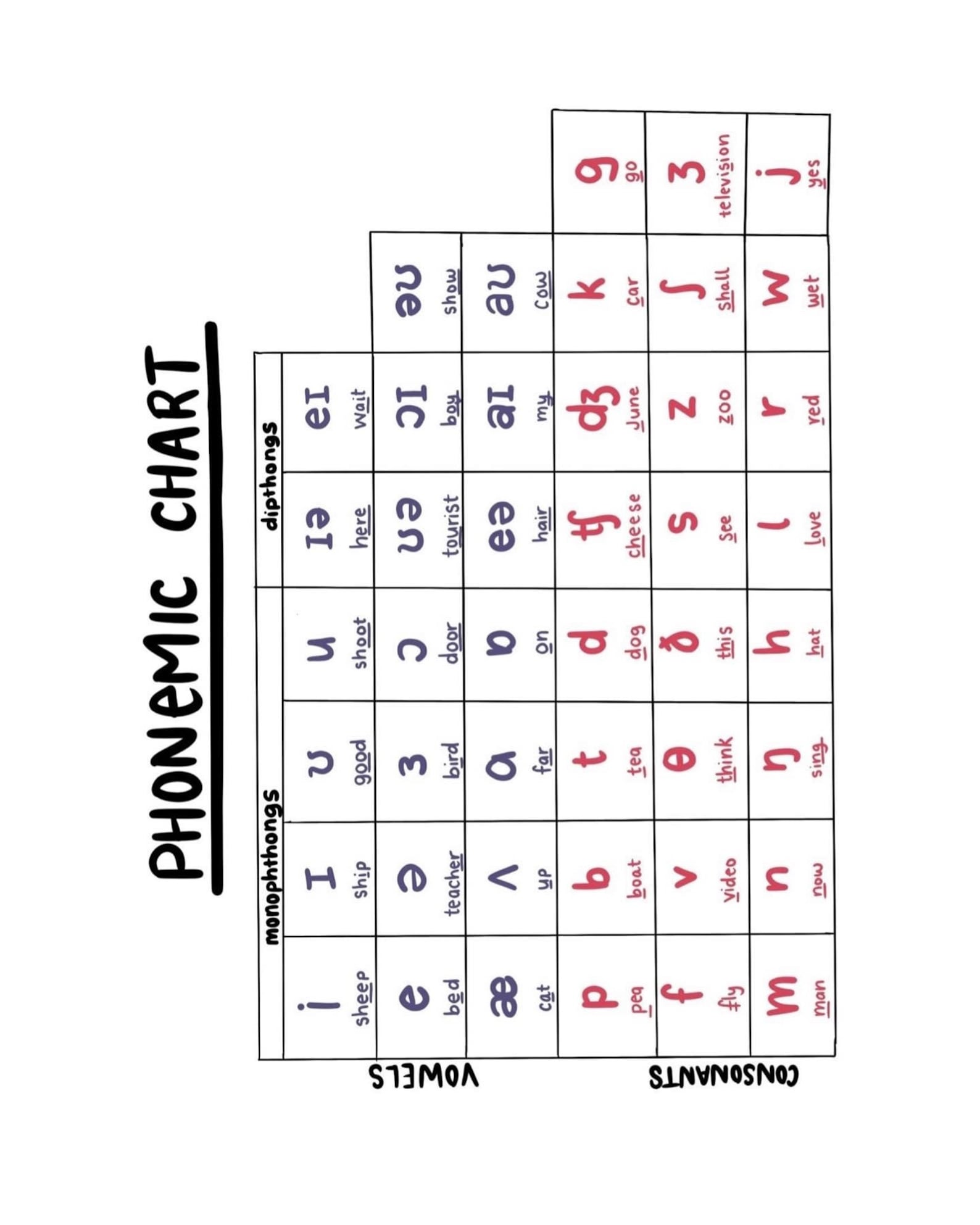Introduction to Acoustics and Phonetics - Audiology Student Study Guide ...