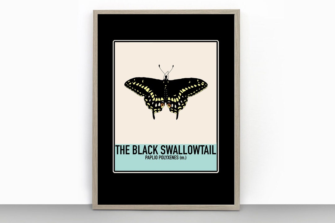 Black Swallowtail Butterfly Retro Entomology Art Print| Nature Wall Art ...