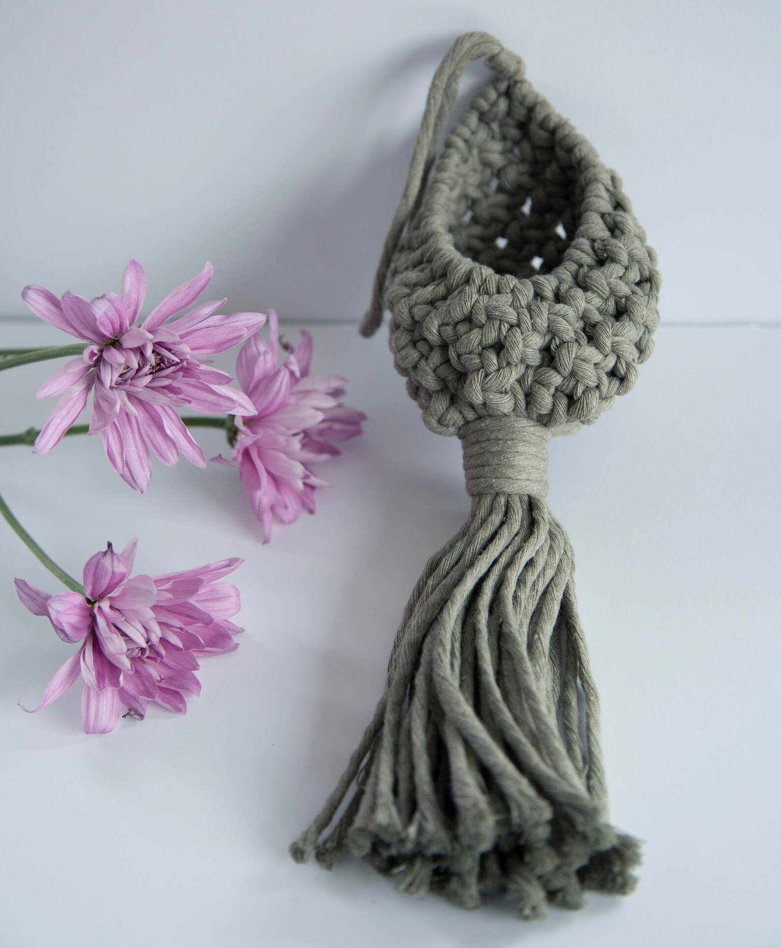 Plant Hanger Pod Macrame Plant Hanger Air Plant Hanger - Etsy