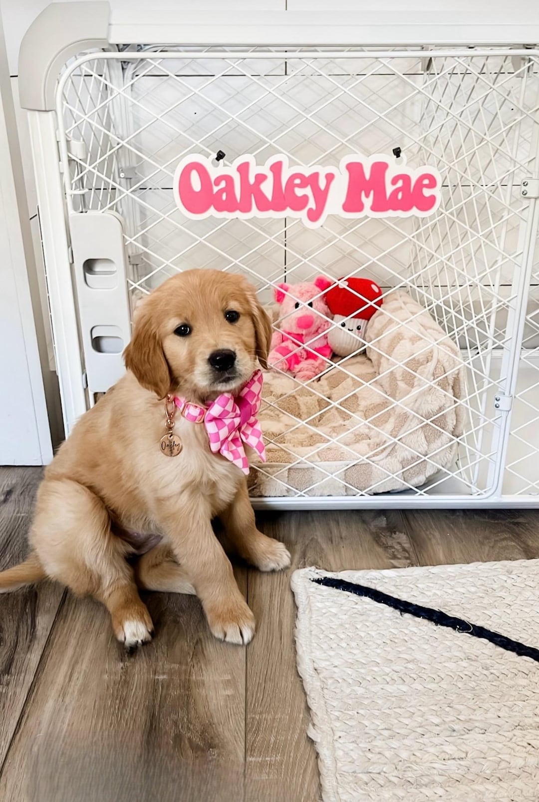 Pet Crate Name Tag | Acrylic Name Tag | Pet Decor | New Puppy Gift ...
