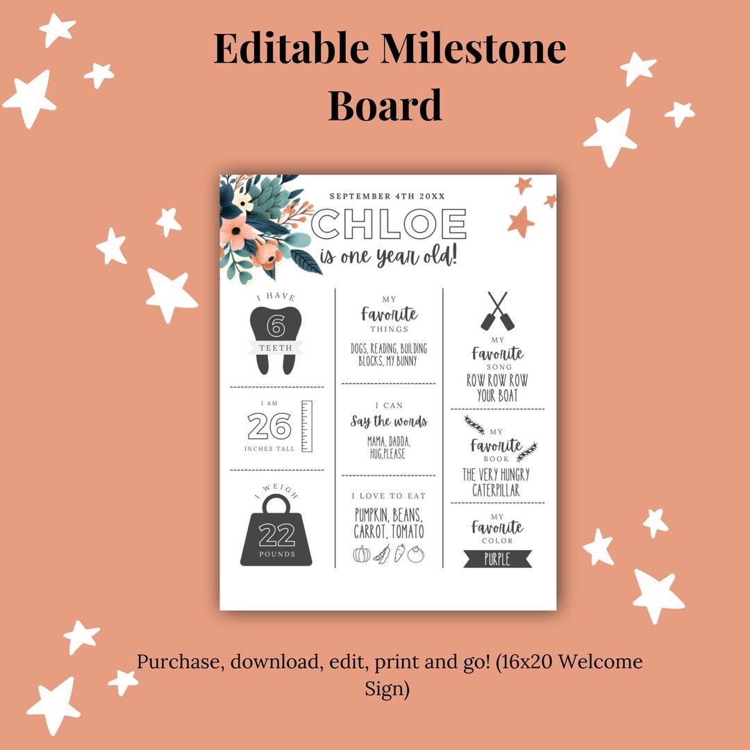 Editable Milestone Birthday Sign | Printable Baby First Year Poster ...
